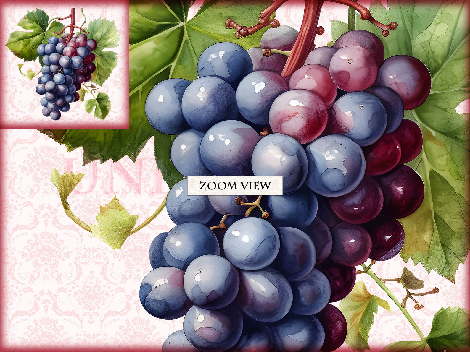 Red Wine and Grapes Watercolor Clipart Bundle HQ Printable PNG Format ...