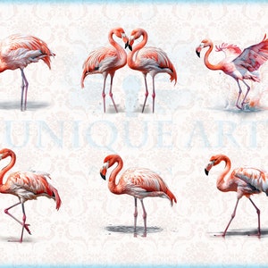 Flamingos Flamingo Birds Themed Watercolor Clipart Bundle HQ Printable ...