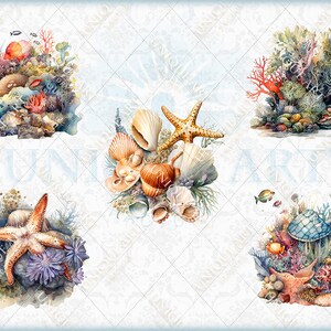 Corals and Seashells, Underwater Themed Watercolor Clipart Bundle ...
