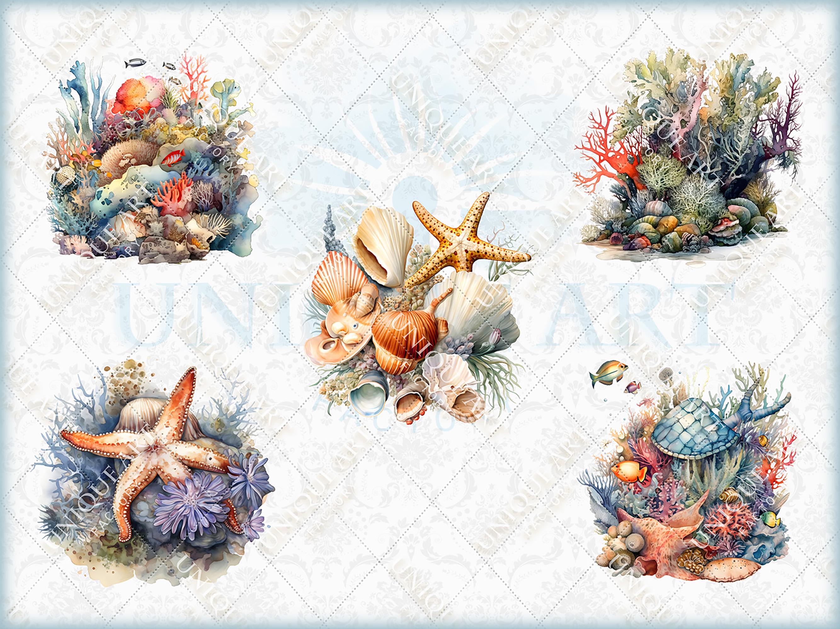 Corals and Seashells, Underwater Themed Watercolor Clipart Bundle ...