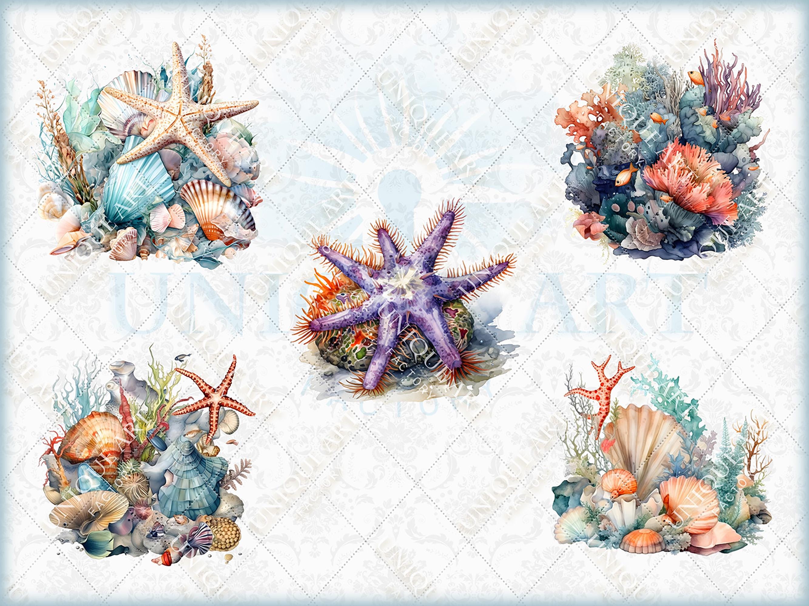 Corals and Seashells, Underwater Themed Watercolor Clipart Bundle ...