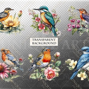 Tiny Birds and Flowers, Little Cute Birds, Watercolor Clipart Bundle ...