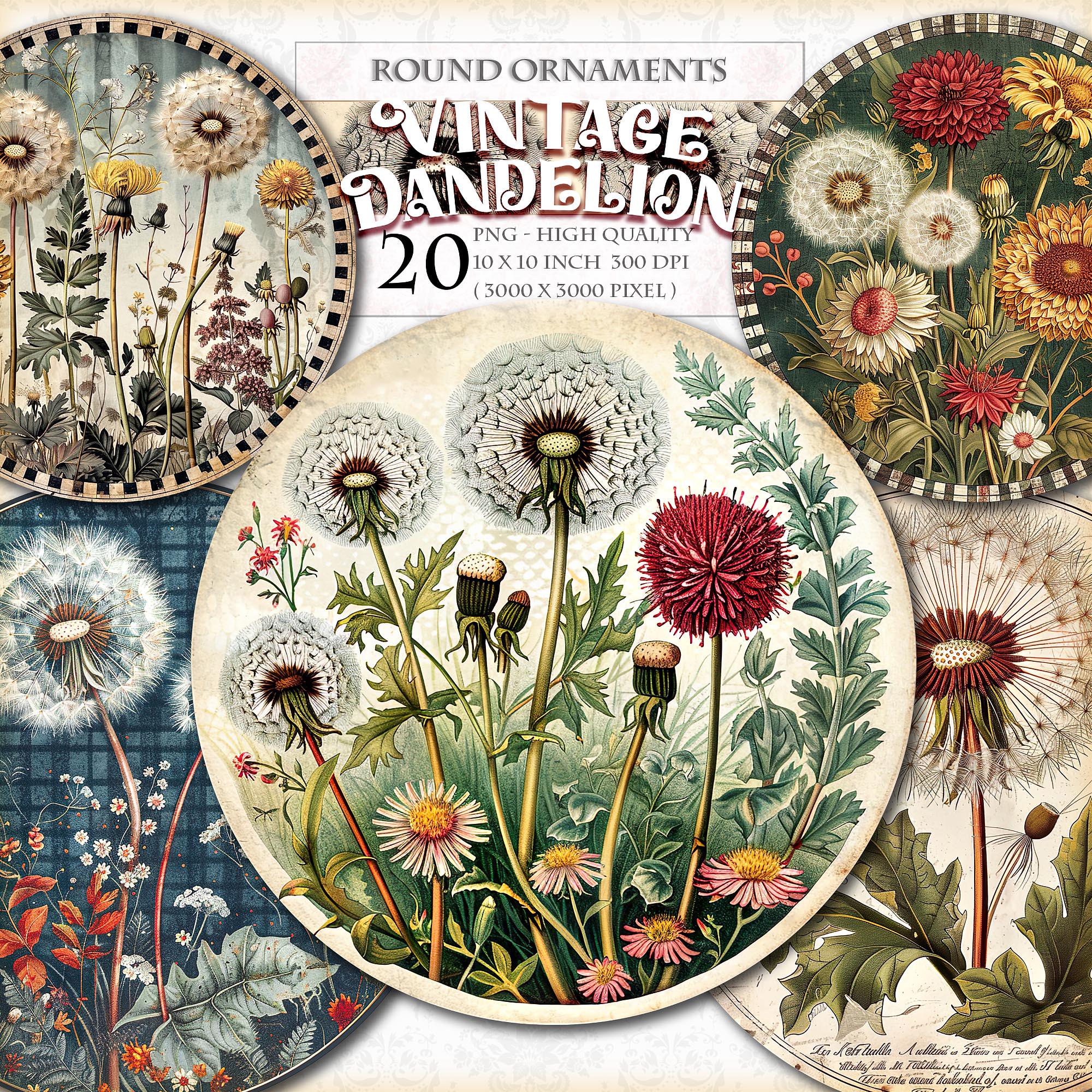 Vintage Dandelion Round Clipart, Printable 20 PNG Image, Circle ...