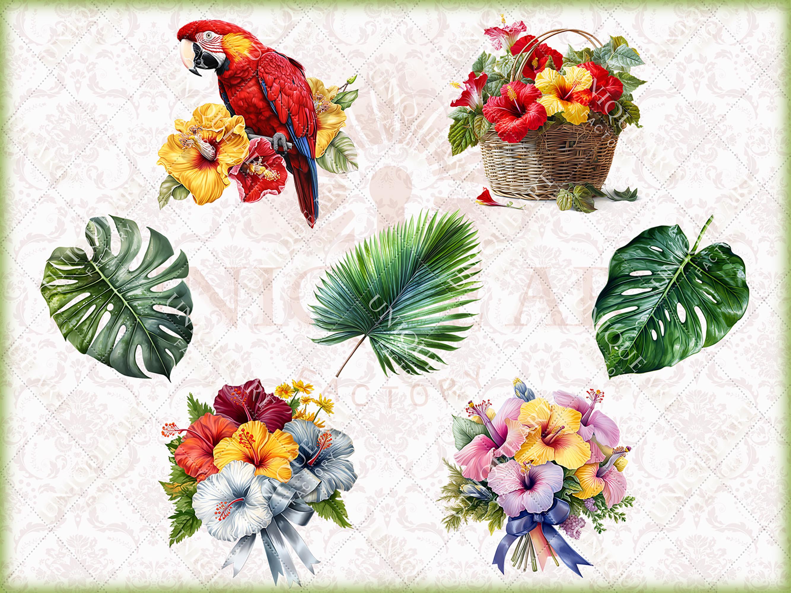 Hibiscus, Tropical Flowers, Watercolor Clipart Bundle, 34 HQ Printable ...