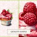 Raspberry Love Raspberry Themed Watercolor Clipart Bundle - Etsy