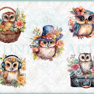 Cute Owls Watercolor Clipart Bundle HQ Printable PNG Format Instant Download - Etsy