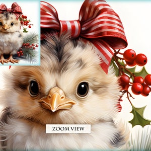 Christmas Chicks, Cute Chickens, Watercolor Printable Pages, Digital ...