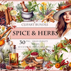 Spice and Herbs Watercolor Clipart Bundle HQ Printable PNG Format ...