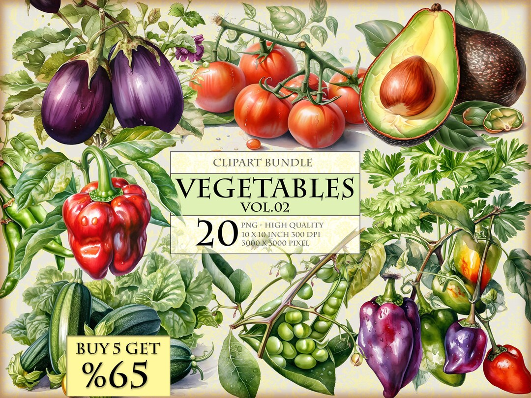 Vegetables Vol.02 Watercolor Clipart Bundle HQ Printable PNG and JPEG ...