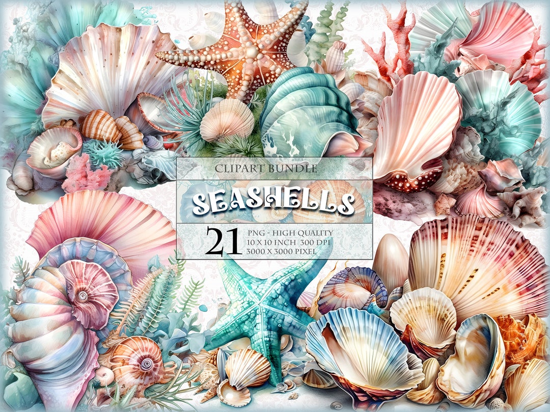 Seashells, Underwater Themed Watercolor Clipart Bundle, 21 HQ Printable ...