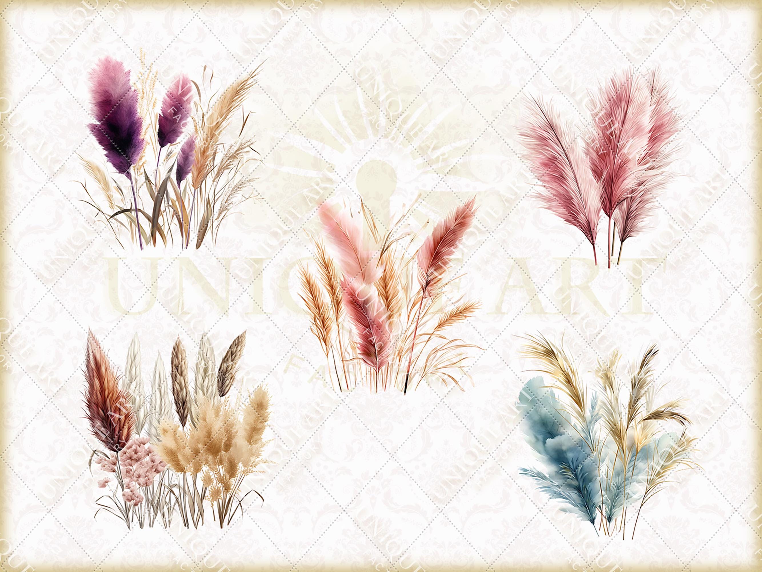Pampas Grass, Boho Floral Elements, Watercolor Clipart Bundle, 22 HQ ...