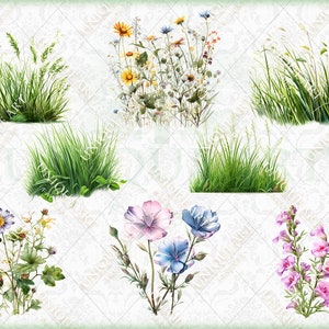 Spring Wildflower, Spring Themed Watercolor Clipart Bundle, 32 HQ ...