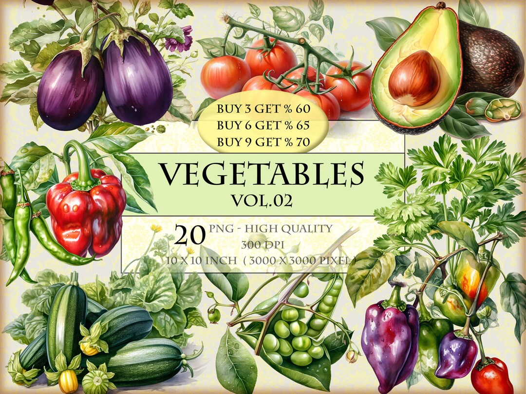 Vegetables Vol.02 Watercolor Clipart Bundle HQ Printable - Etsy