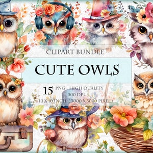 Cute Owls Watercolor Clipart Bundle HQ Printable PNG - Etsy