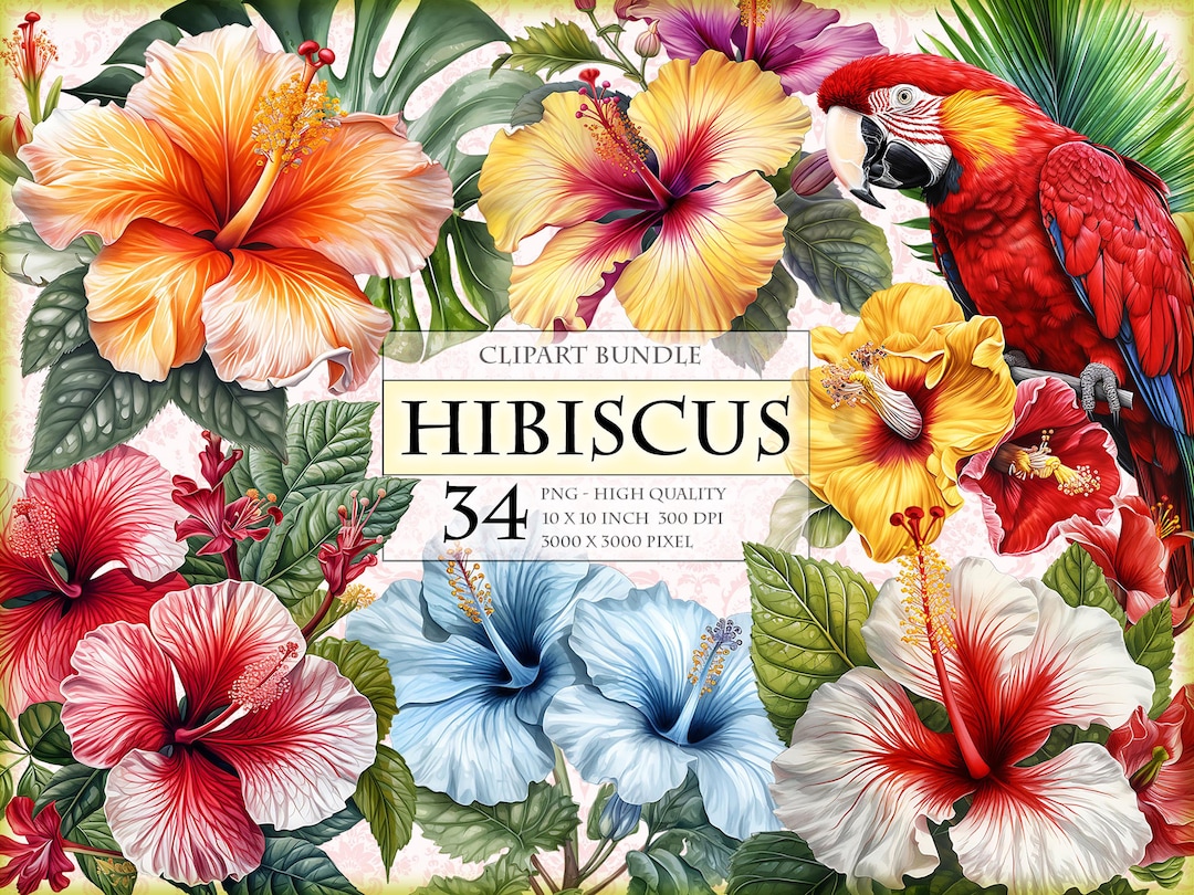 Hibiscus, Tropical Flowers, Watercolor Clipart Bundle, 34 HQ Printable ...