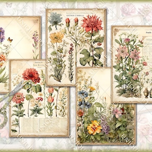 Medicinal Herbs and Flowers, Printable 30 HQ JPG Image, Junk Journal ...