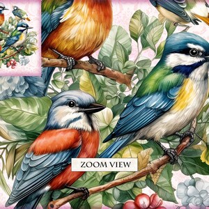 Bird Houses Watercolor Clipart Bundle HQ Printable PNG Format Instant ...