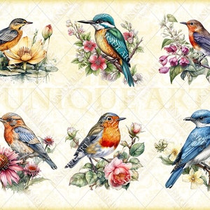 Tiny Birds and Flowers, Little Cute Birds, Watercolor Clipart Bundle ...