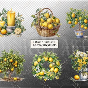 Lemon Love Watercolor Clipart Bundle HQ Printable PNG Format Instant ...