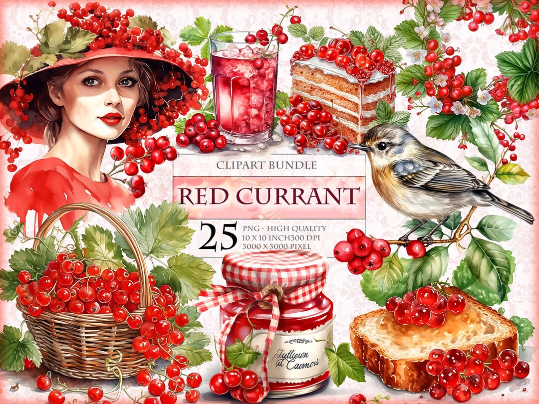 Red Currant and Blossom, Printable 25 PNG Image, Watercolor Clipart ...