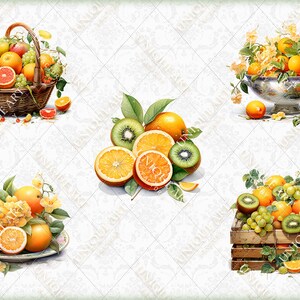 Citrus Fruits, Watercolor Clipart Bundle, 20 HQ Printable Image ...
