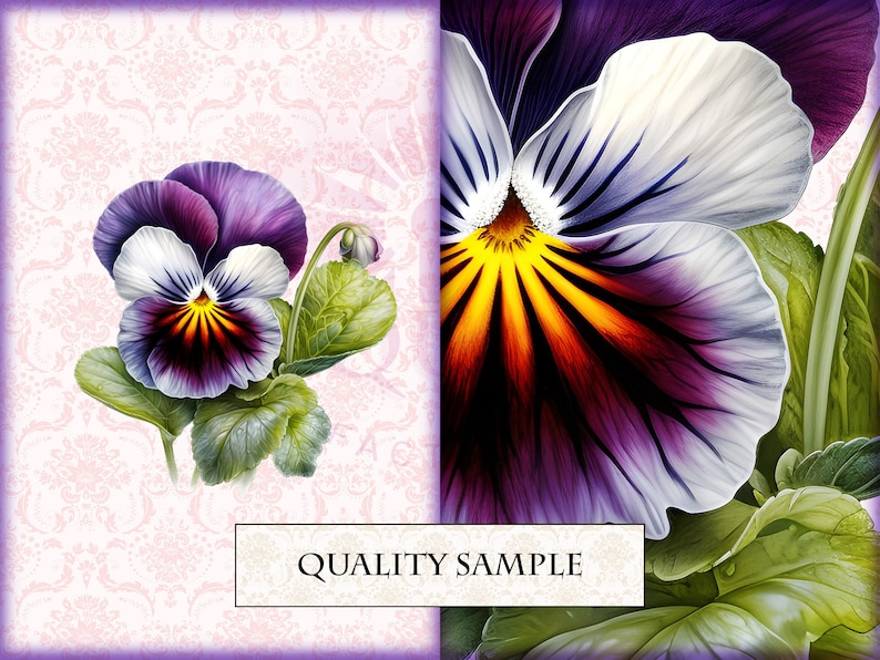 Pansy Love Pansies / Violet Flower Watercolor Clipart - Etsy