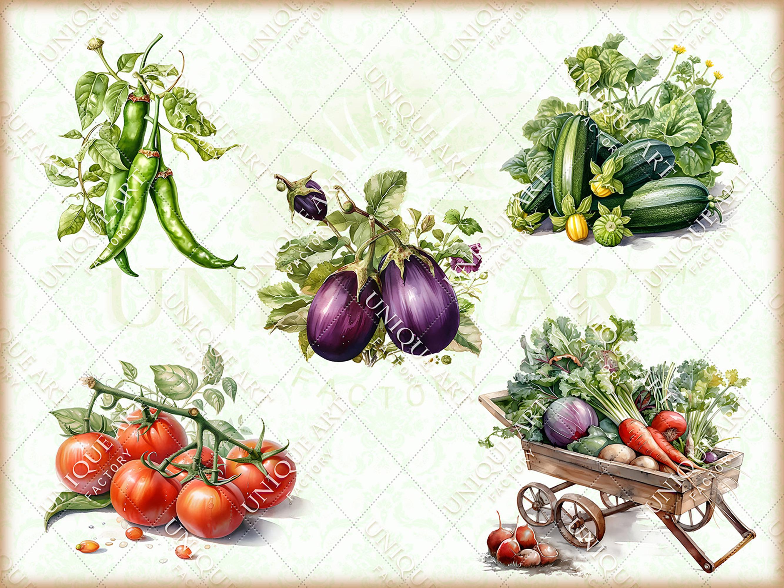 Vegetables Vol.02 - Watercolor Clipart Bundle - HQ Printable PNG and ...
