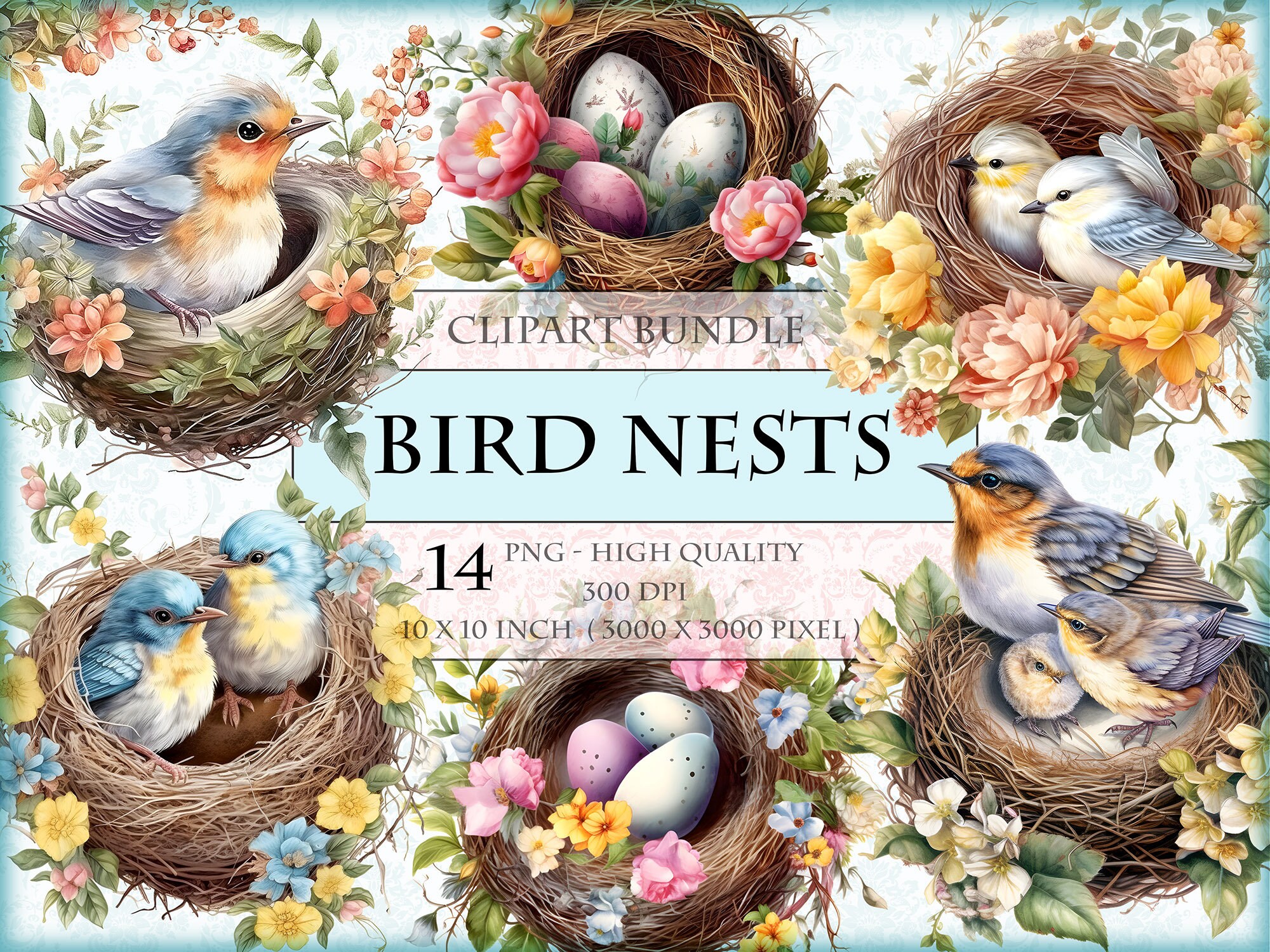 Bird Nests and Flowers Watercolor Clipart Bundle HQ - Etsy