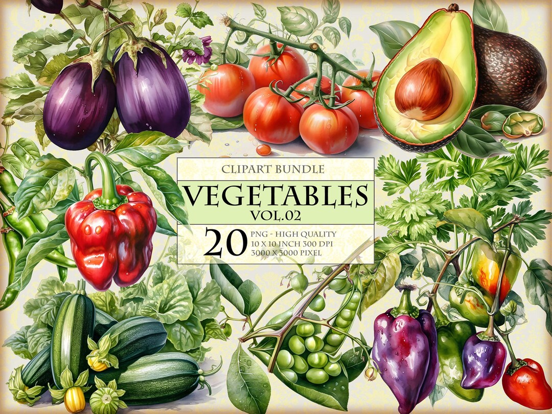 Vegetables Vol.02 - Watercolor Clipart Bundle - HQ Printable PNG and ...
