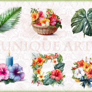 Hibiscus, Tropical Flowers, Watercolor Clipart Bundle, HQ Printable ...