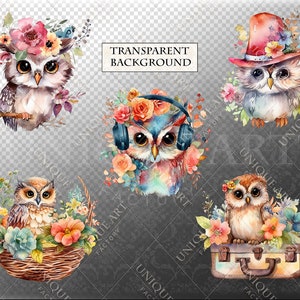 Cute Owls, Watercolor Clipart Bundle, Junk Journal, Scrapbook ...