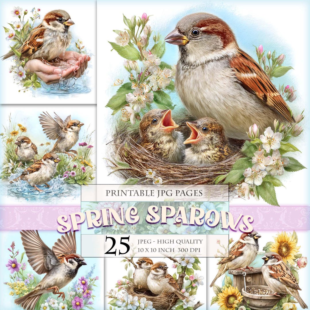 Spring Sparrow Clipart Set, Printable 25 JPEG Image, Wildflower Meadow Landscapes, Rustic Nature ...