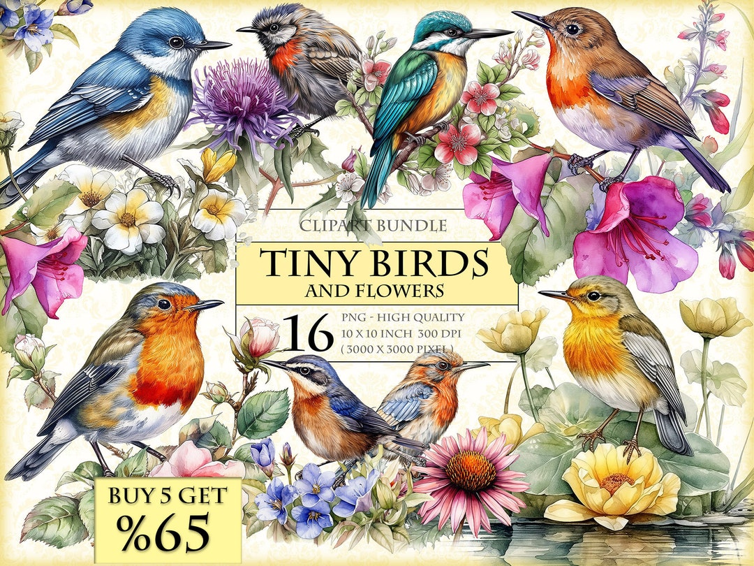 Tiny Birds and Flowers / Little Cute Birds Watercolor Clipart Bundle HQ ...