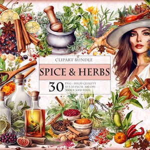Spice and Herbs Watercolor Clipart Bundle HQ Printable PNG Format ...