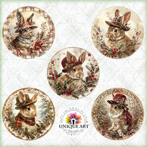 Christmas Bunny Vol.02 PNG Round Ornaments Gift, Watercolor Clipart ...