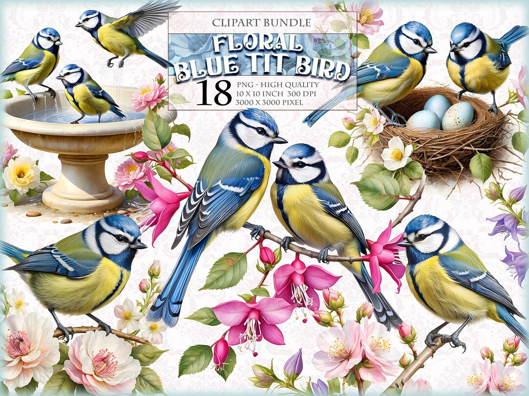 Floral Blue Tit Bird, Watercolor Clipart Bundle, Printable 18 PNG, Junk ...