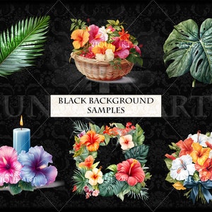 Hibiscus, Tropical Flowers, Watercolor Clipart Bundle, HQ Printable ...