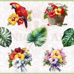 Hibiscus, Tropical Flowers, Watercolor Clipart Bundle, HQ Printable ...