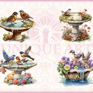 Bird Baths Watercolor Clipart Bundle HQ Printable PNG Format Instant ...