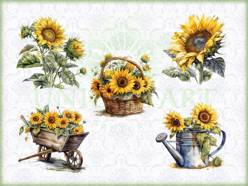 Sunflowers Watercolor Clipart Bundle HQ Printable PNG Format - Etsy