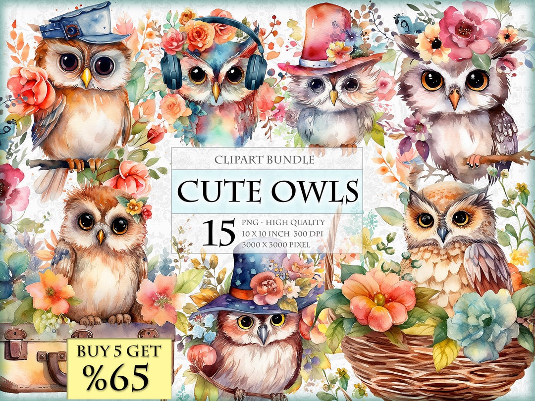 Cute Owls Watercolor Clipart Bundle HQ Printable PNG Format Instant Download - Etsy