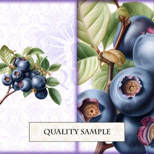 Blueberry Love Blueberry Themed Watercolor Clipart Bundle, HQ Printable ...