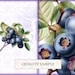 Blueberry Love Blueberry Themed Watercolor Clipart Bundle - Etsy
