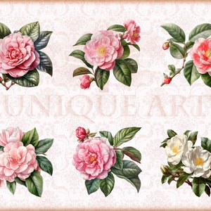 Camellias Camellia Flower Themed Watercolor Clipart Bundle, HQ ...