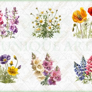 Spring Wildflower, Spring Themed Watercolor Clipart Bundle, 32 HQ ...