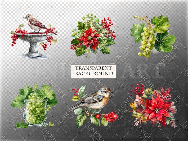 Red Currant and Blossom, Printable 25 PNG Image, Watercolor Clipart ...