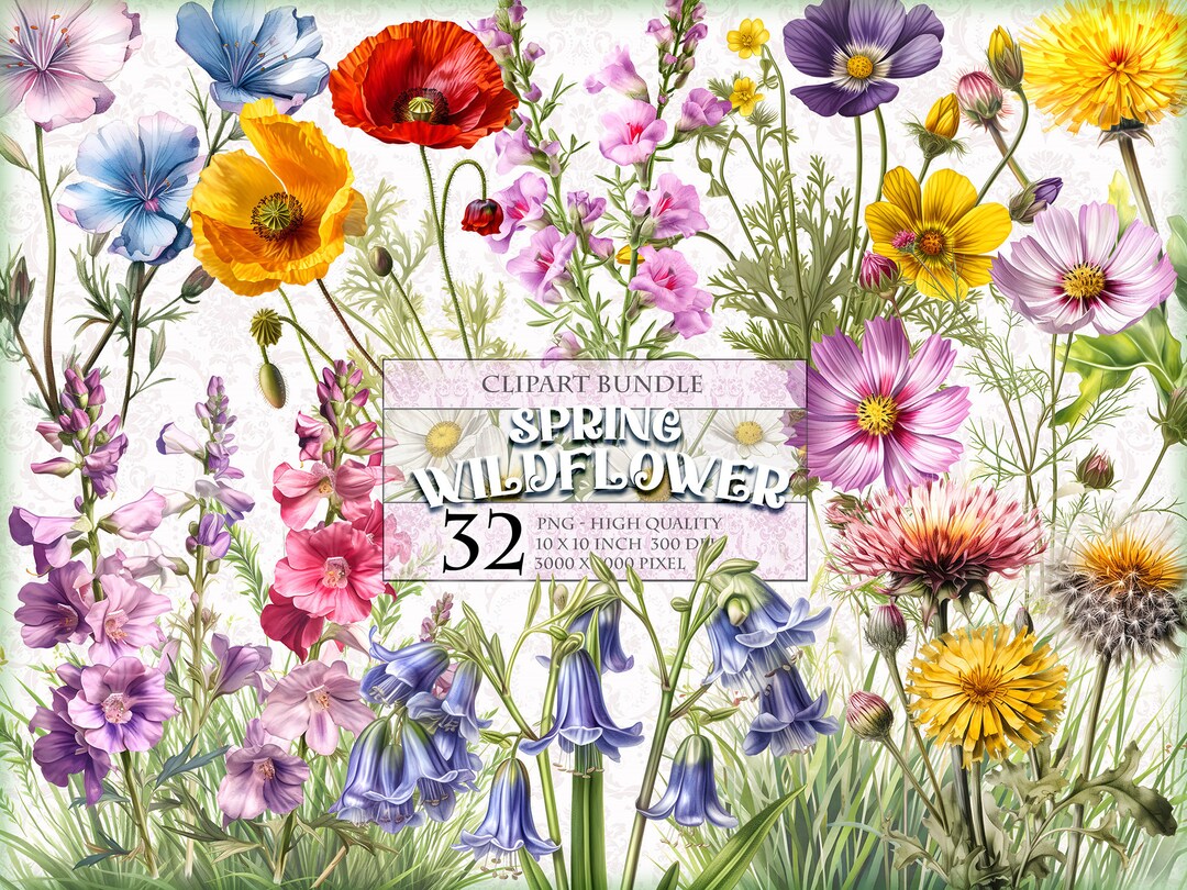Spring Wildflower, Spring Themed Watercolor Clipart Bundle, 32 HQ ...