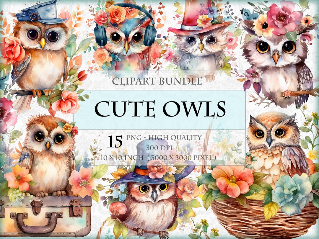 Cute Owls Watercolor Clipart Bundle HQ Printable PNG - Etsy
