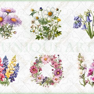 Spring Wildflower, Spring Themed Watercolor Clipart Bundle, Printable ...