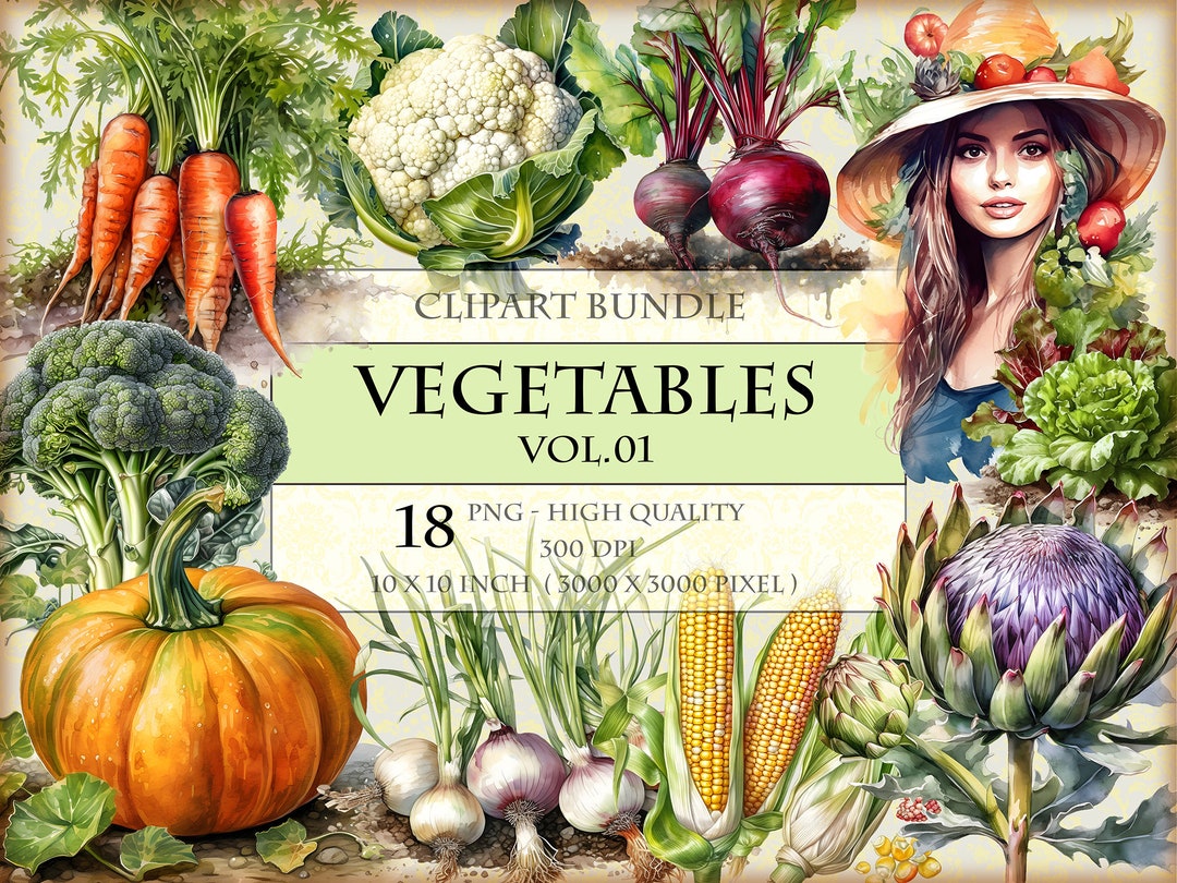 Vegetables Vol.01 Watercolor Clipart Bundle HQ Printable - Etsy